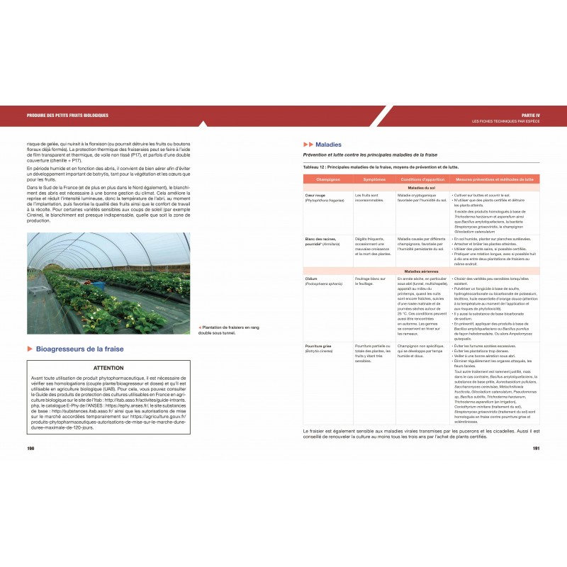 NOUVEAU Guide Technique de l'ITAB "Produire des Petits Fruits biologiques"